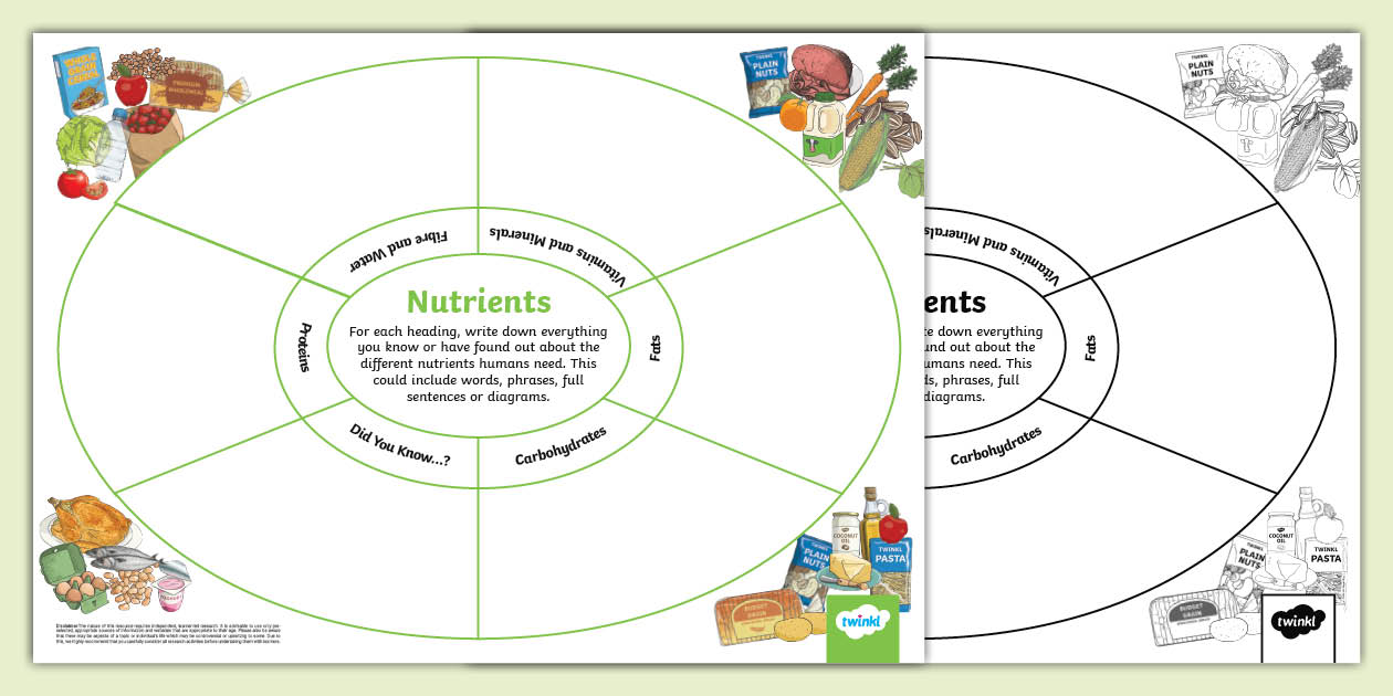 KS2 Nutrients Around the Table - Twinkl Science - Twinkl