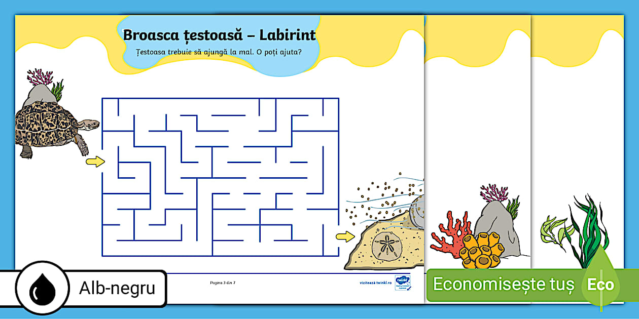 Broasca țestoasă – Labirinturi (teacher made) - Twinkl