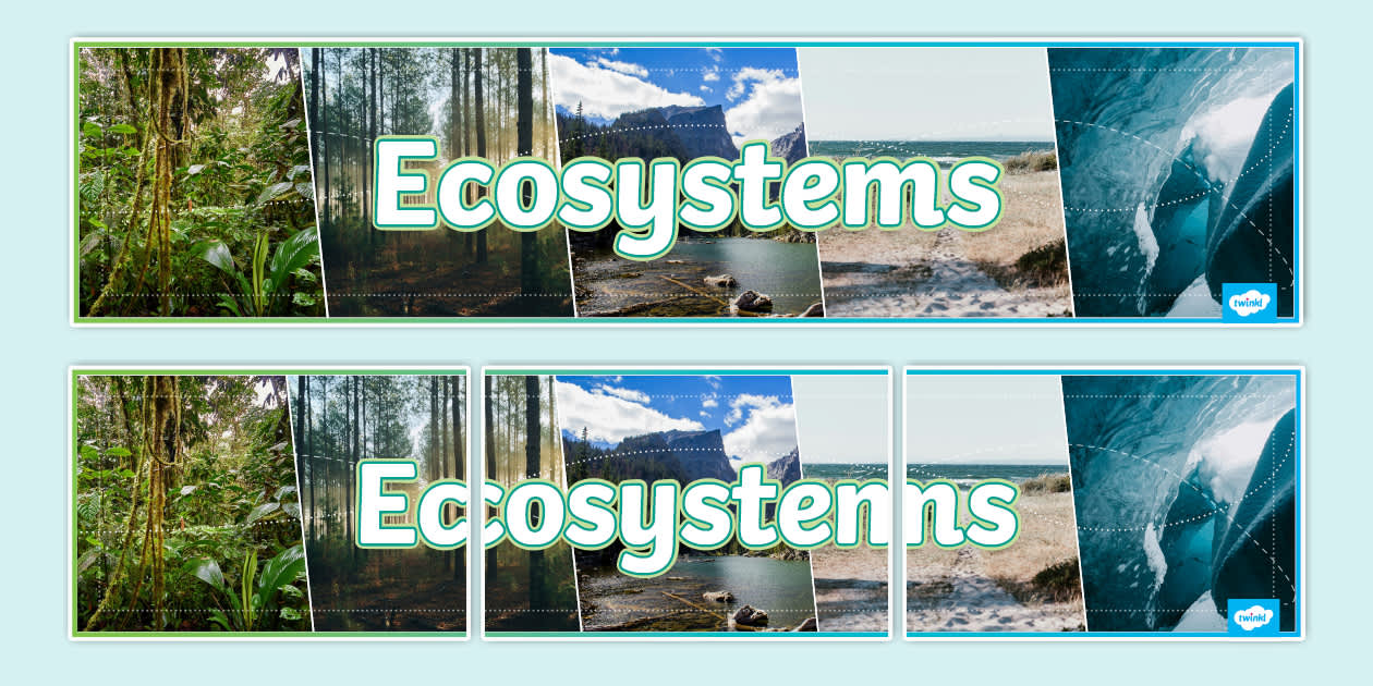 Ecosystems Photo Display Banner (teacher made) - Twinkl