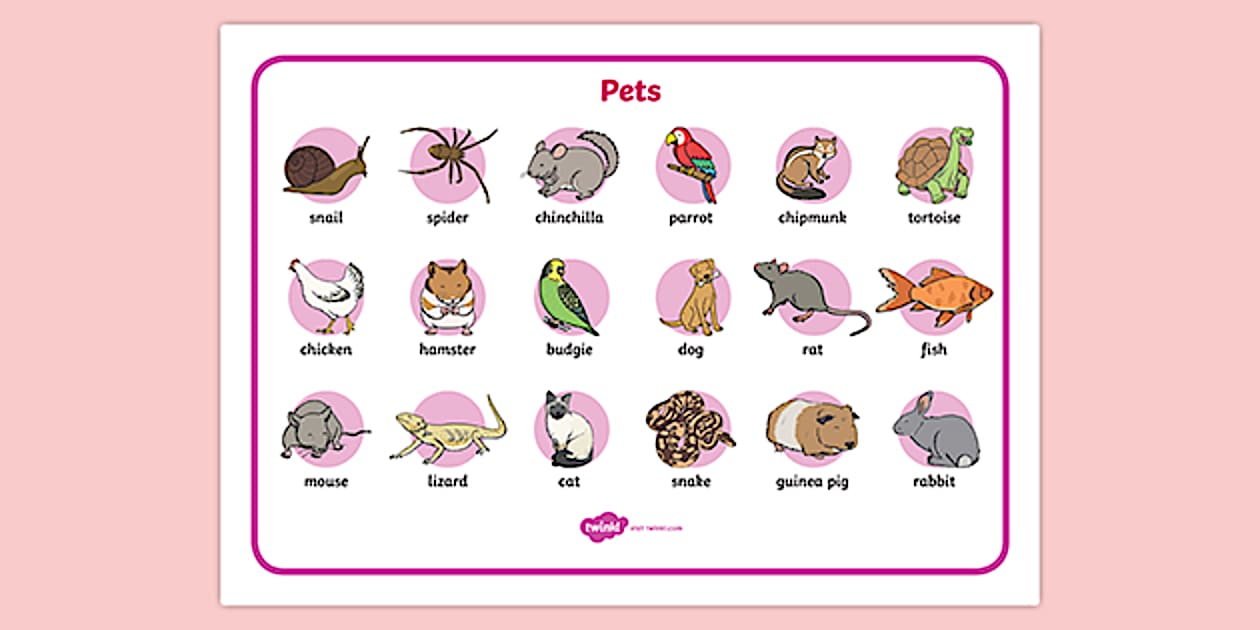 Black and White Pets Word Mat (teacher made) - Twinkl