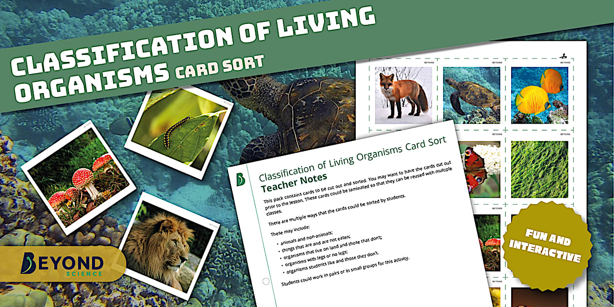 Classification of Living Organisms Card Sort | Beyond