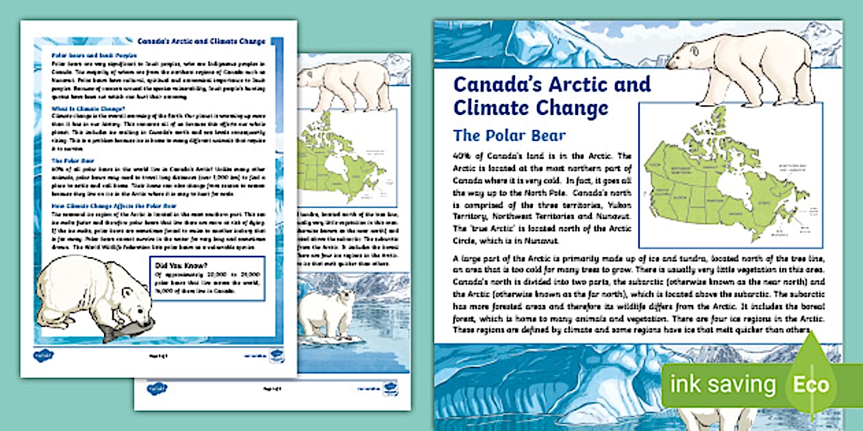 Facts About Polar Bears and Climate Change - Twinkl