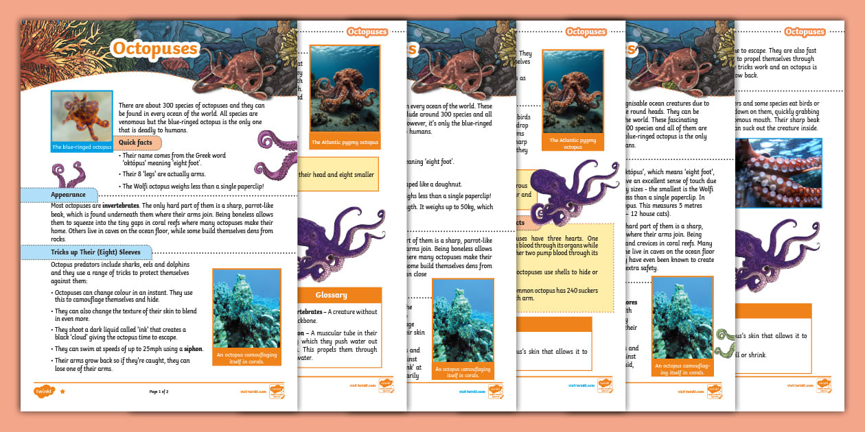 LKS2 Octopus Reading Comprehension | Ocean Creatures