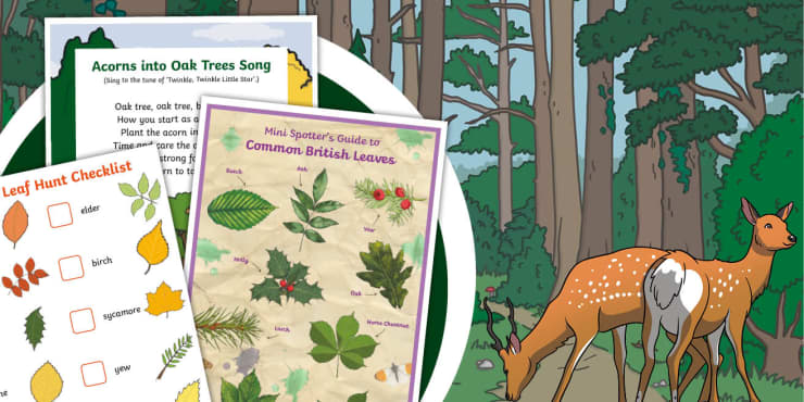 National Tree Week 2025 - Teaching Resources and Information
