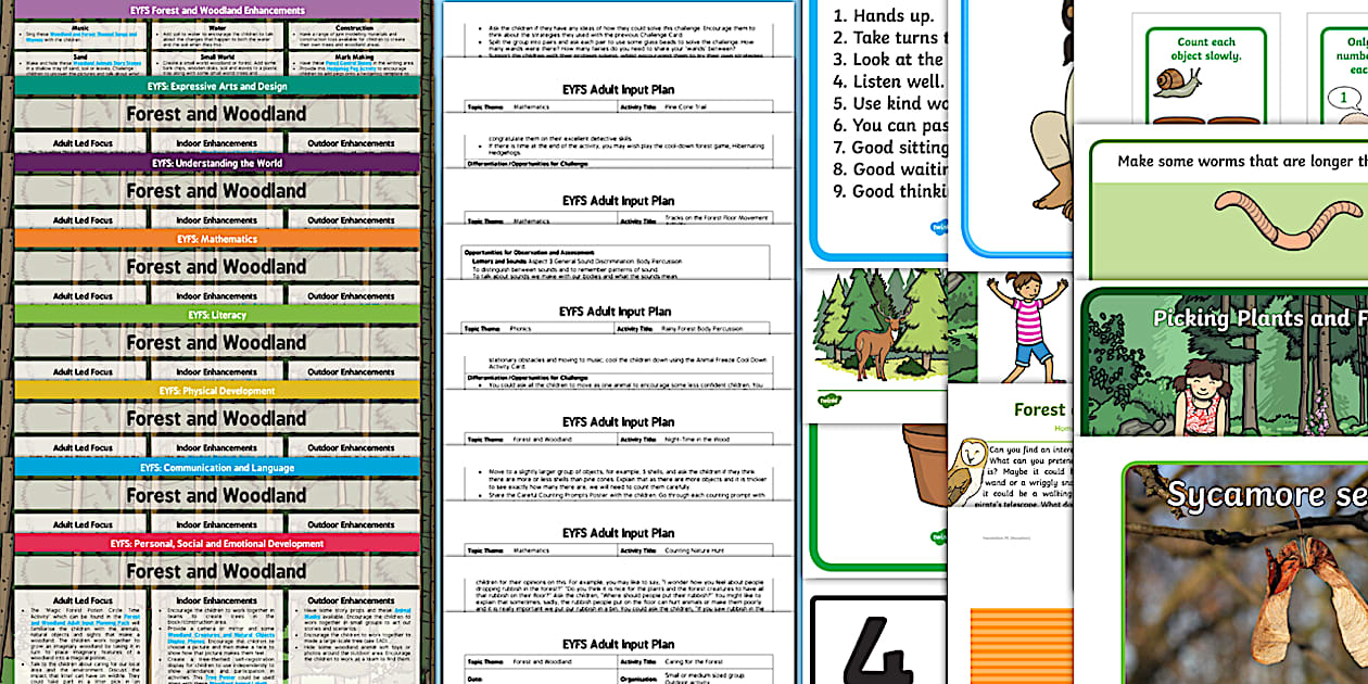 EYFS Forest and Woodland Bumper Planning Pack - Twinkl