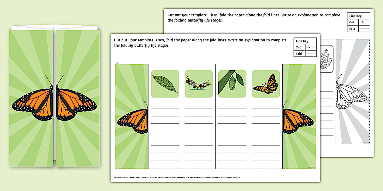 Monarch Butterfly Folding Life Stages Template - Twinkl