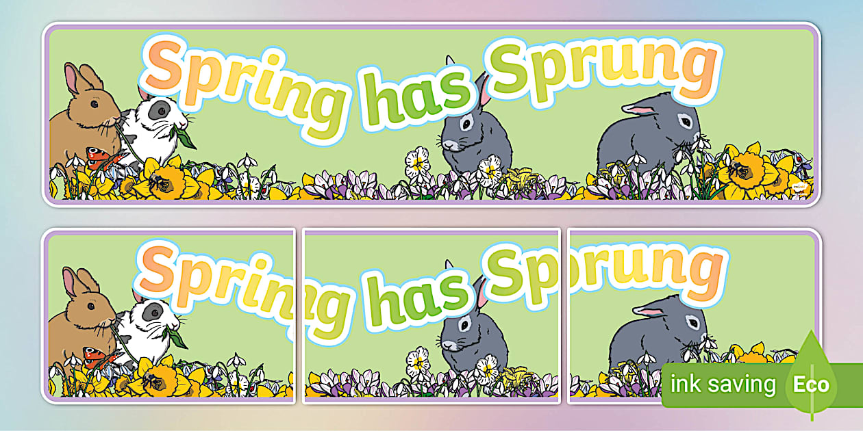 Spring Aistear Spring has Sprung Display Banner - Twinkl