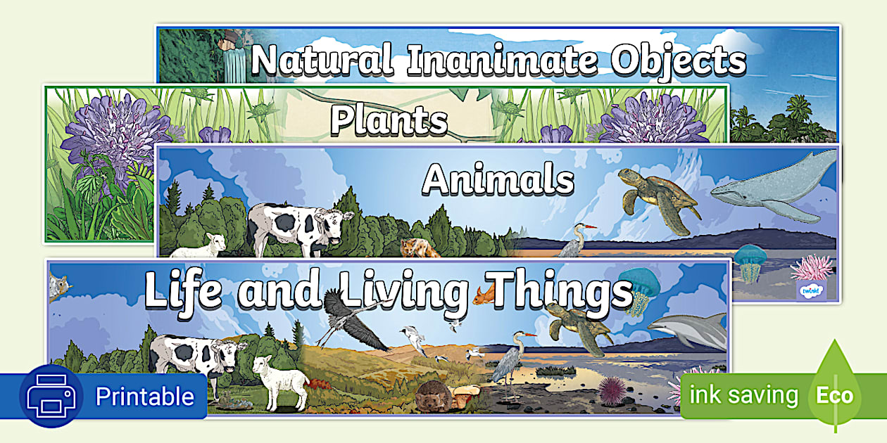 Life and Living Things - Banners | Twinkl South Africa