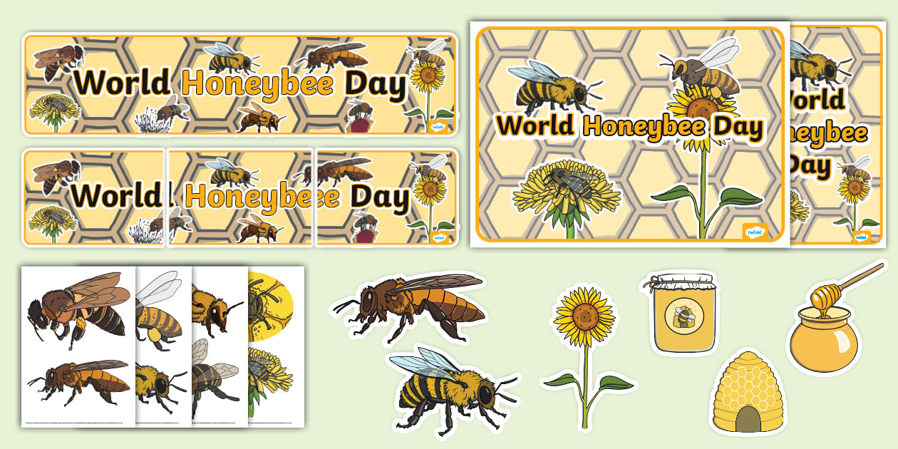 World Honeybee Day Display Pack - KS1 - Twinkl