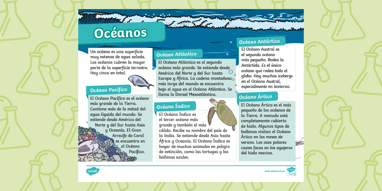 Infografía: Océanos - Twinkl Colombia