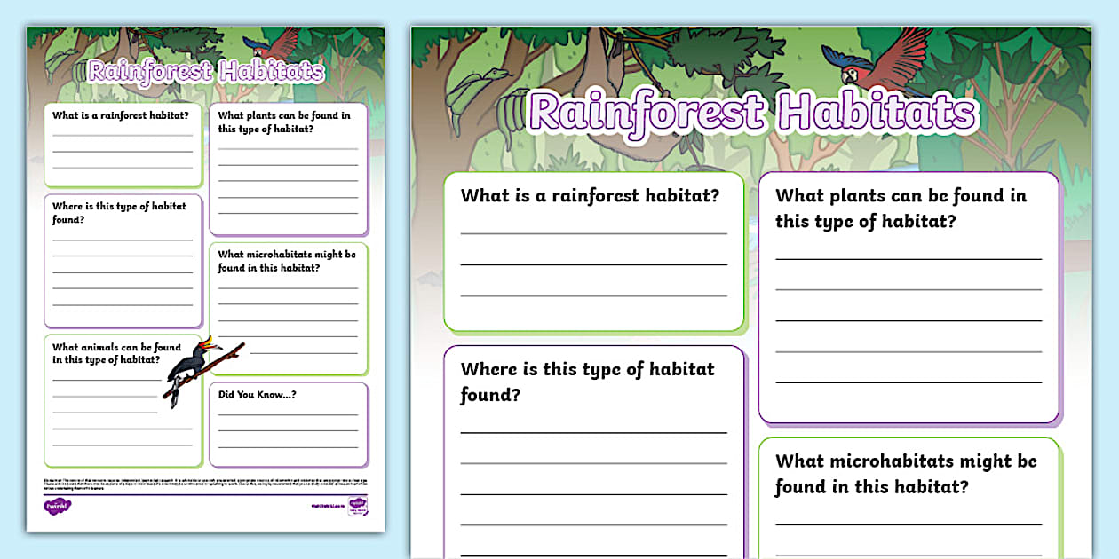 Rainforest Habitats Fact File Template - Twinkl