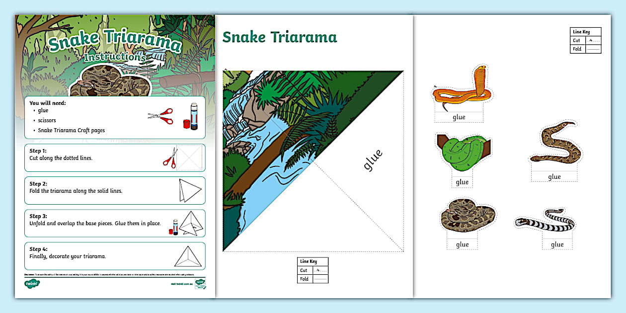 Snake Triarama Craft (Lehrer gemacht) - Twinkl