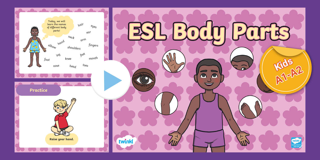 ESL Body Parts PPT Lesson [Kids, A1-A2] (teacher made)