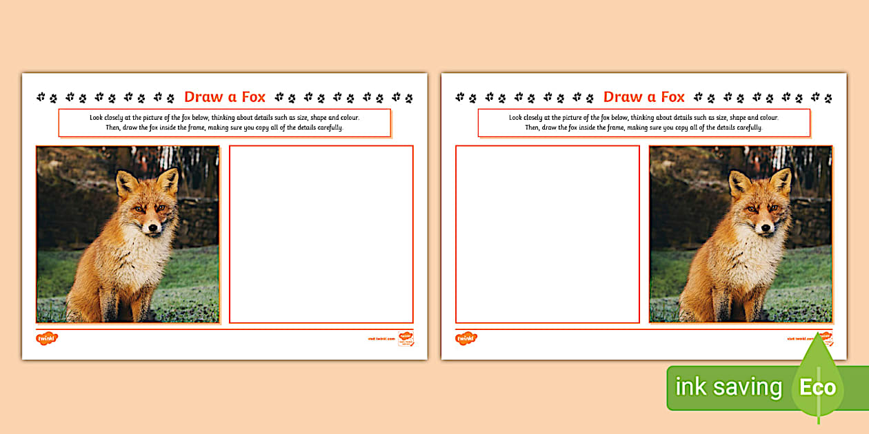 Draw a Fox Art Activity,fox art,fox drawing (Teacher-Made)