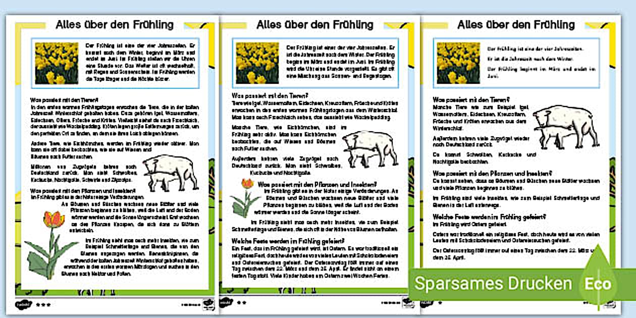 Frühling Informationstext dreifach differenziert - Twinkl