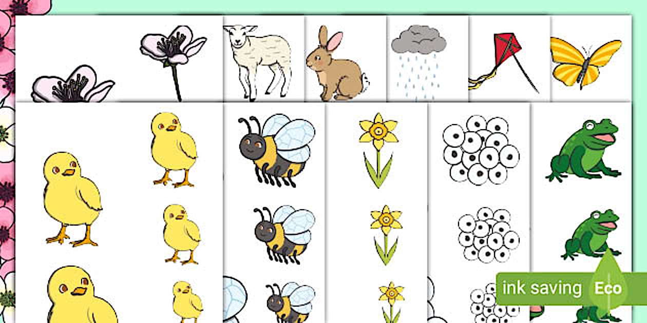 Spring EYFS Activities | Spring Themed Size Ordering