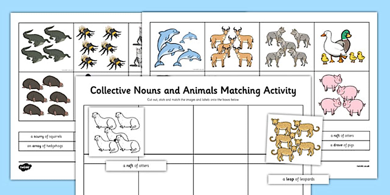 Collective Nouns Worksheet - Groups of Animals - Twinkl