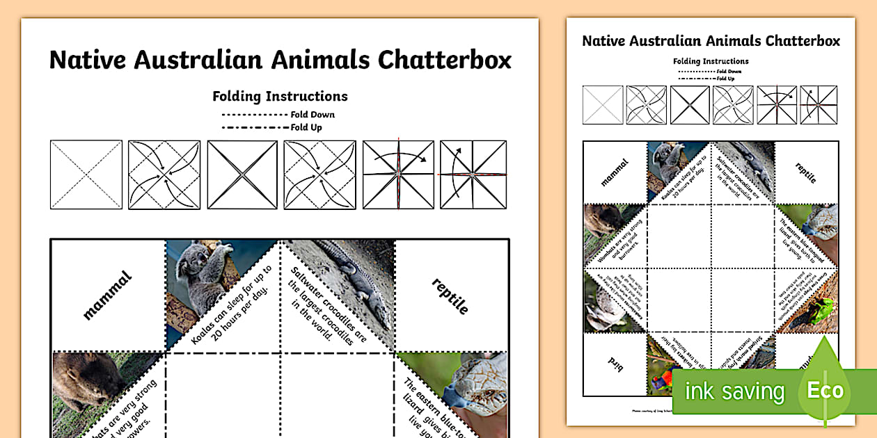 Australian Animals Chatterbox Game (teacher made) - Twinkl