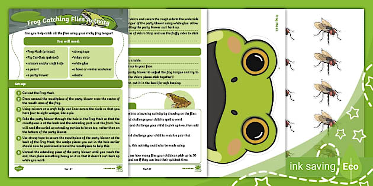 Frog Catching Flies Activity - Twinkl