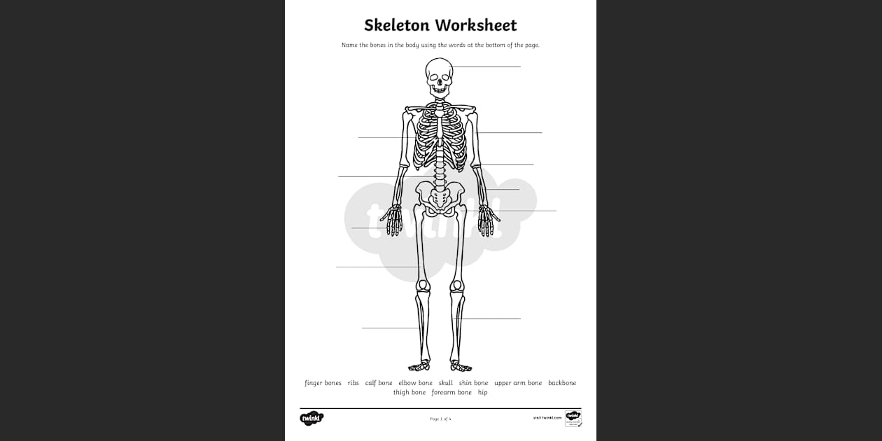 printable skeletal system blank