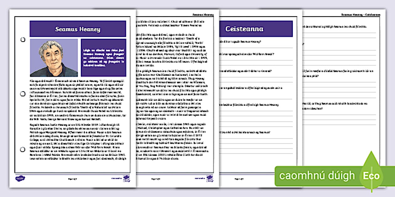 Seamus Heaney Comprehension Activity Week Sixteen Homework Gaeilge