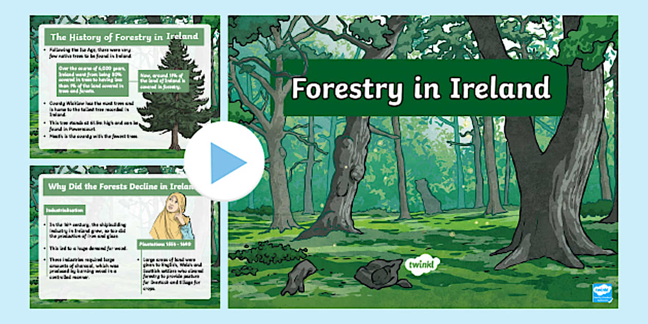 Forestry in Ireland PowerPoint (teacher made) - Twinkl