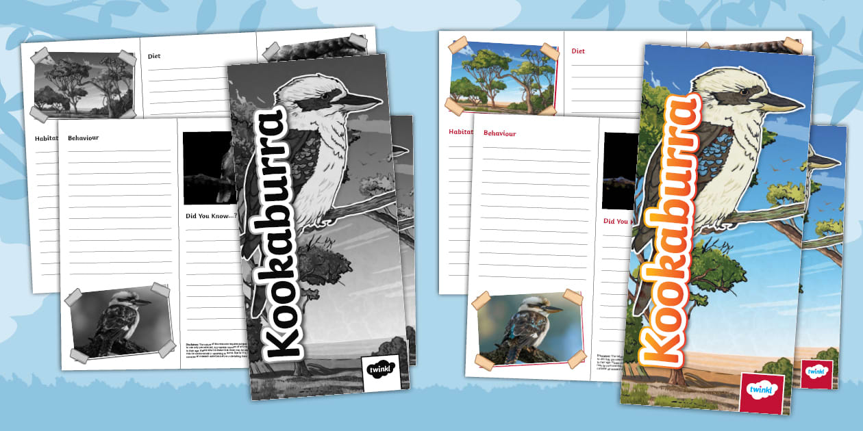 Kookaburra Leaflet Template - Twinkl Leaflets - Twinkl