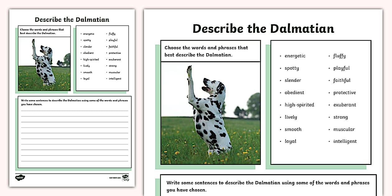 Describe the Dalmatian Worksheet (teacher made) - Twinkl