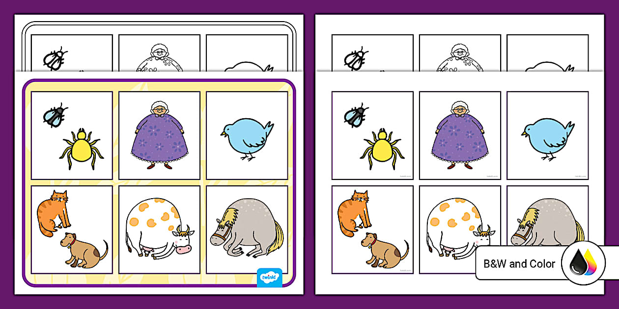 There Was an Old Lady Who Swallowed a Fly Matching Activity Mat