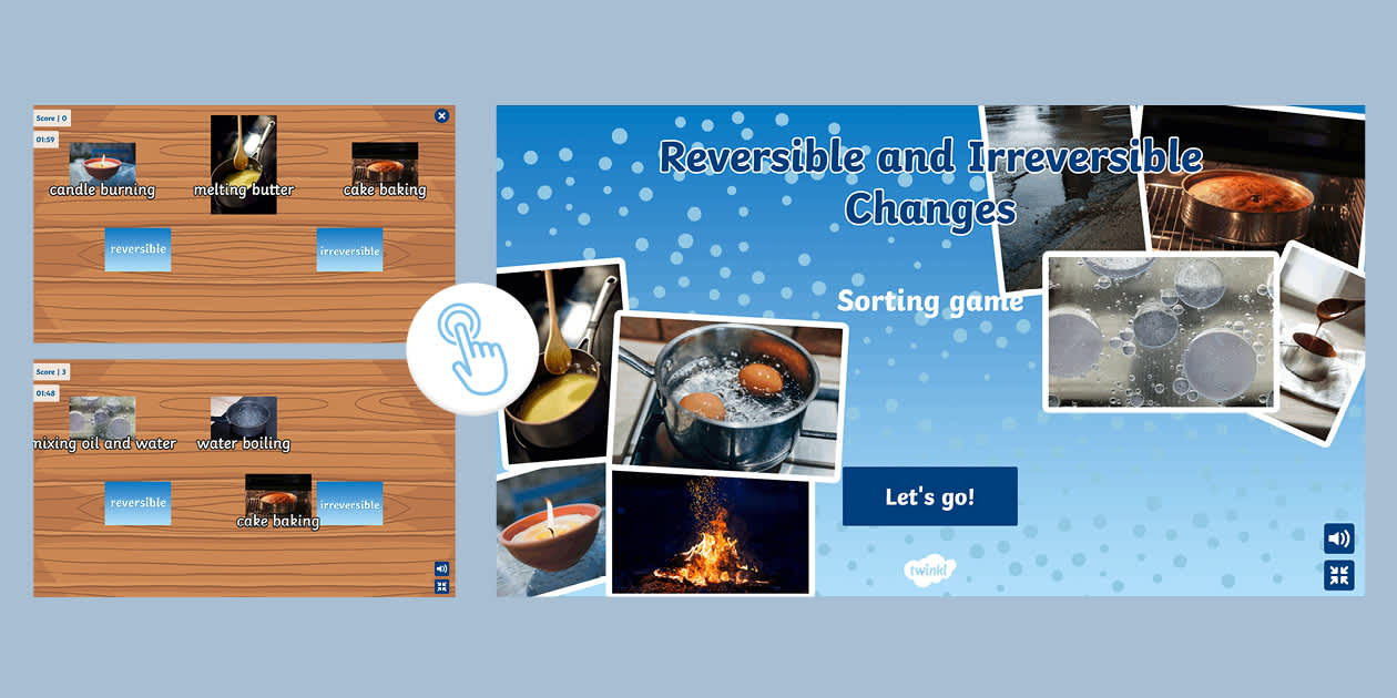Reversible and Irreversible Changes Interactive Sorting Game