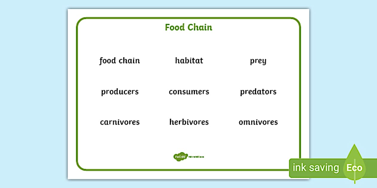 Food Chain Word Mat (no Images) (teacher made) - Twinkl