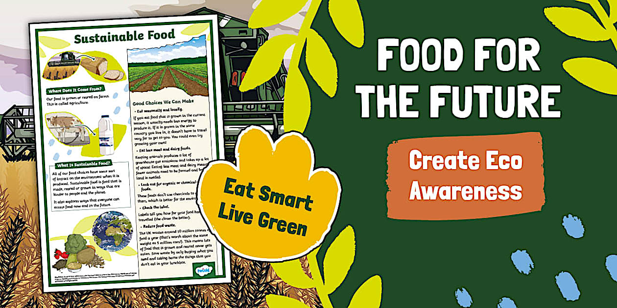 Sustainable Food Poster for Classroom