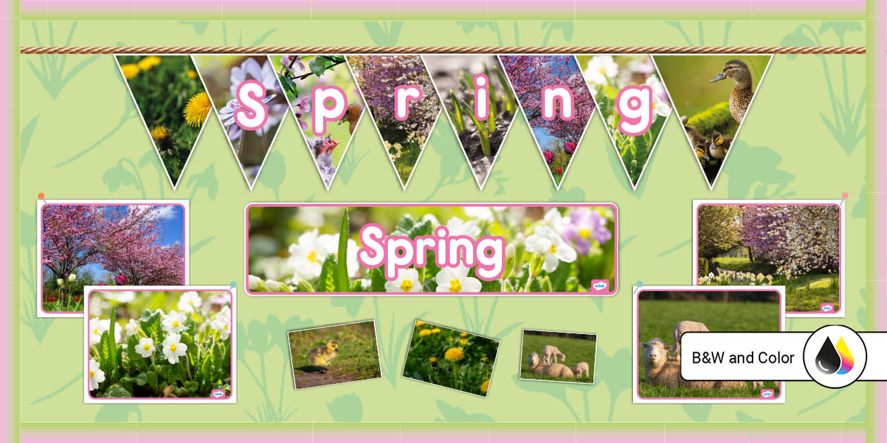 Printable Spring Classroom Decorations | Twinkl USA