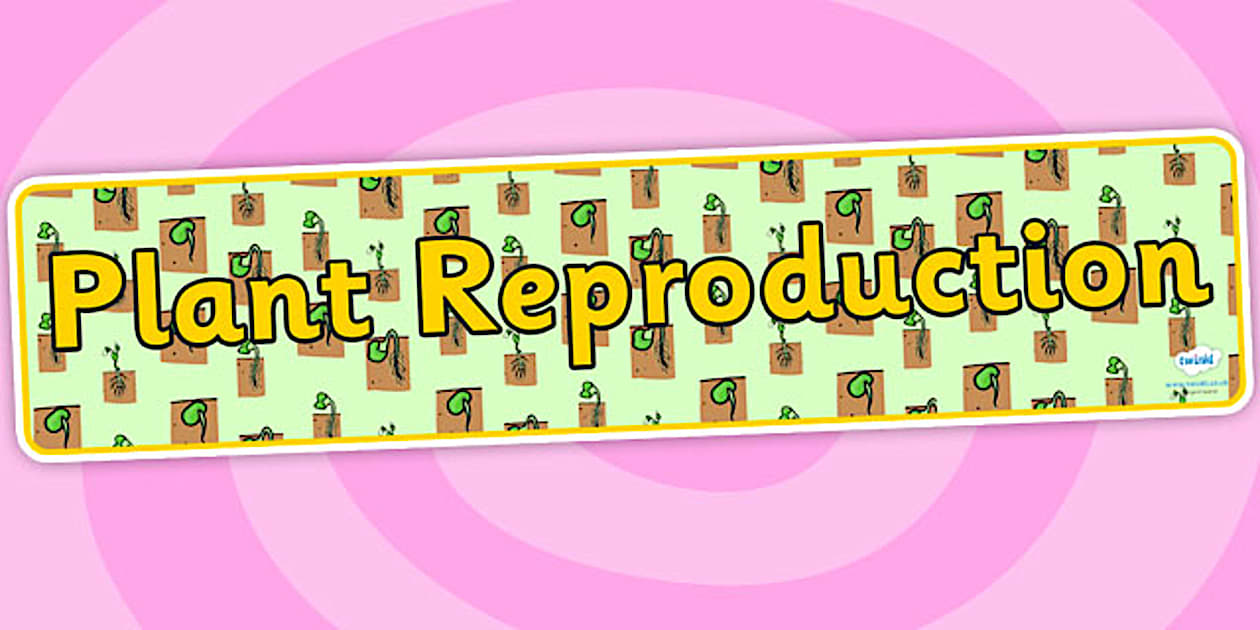 Plant Reproduction Display Banner (teacher made) - Twinkl