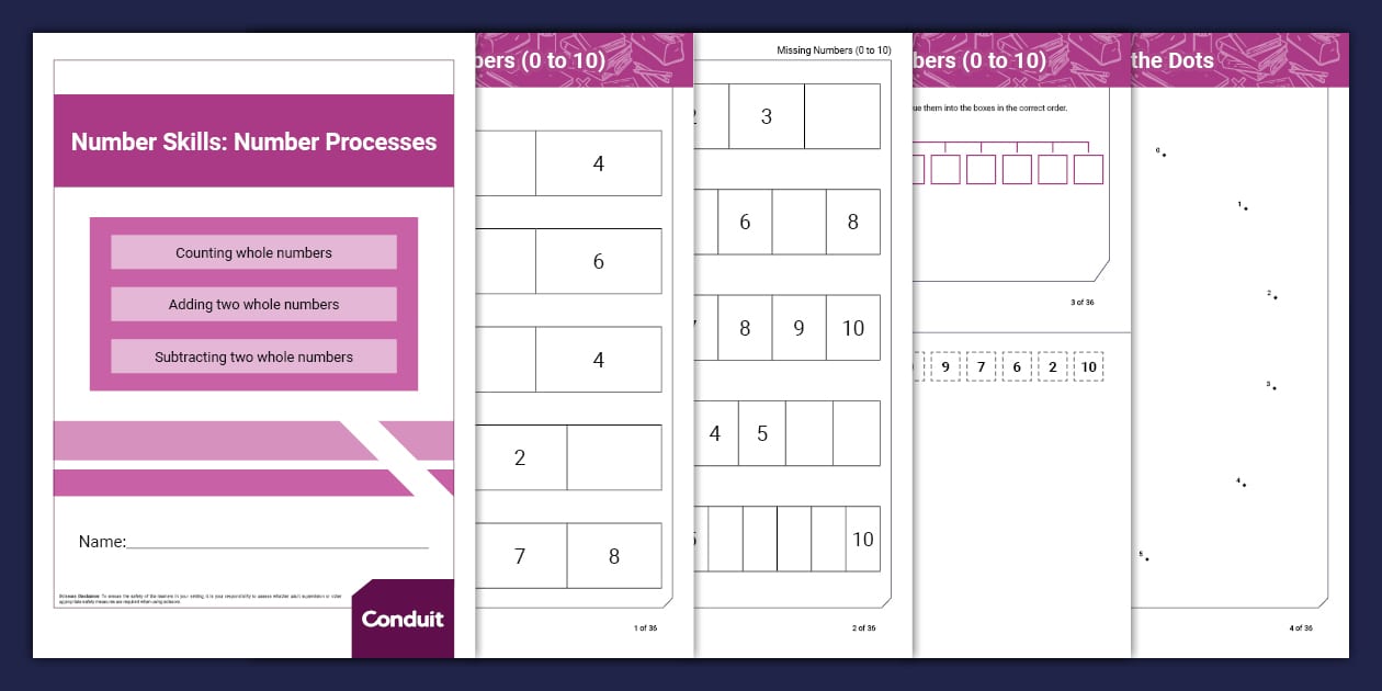 Number Skills Activity Booklet for Number Processes