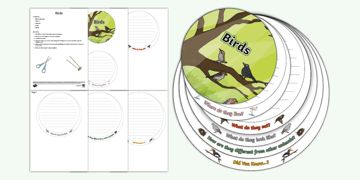 Birds Circles Booklet - Twinkl Science Leaflet - Twinkl