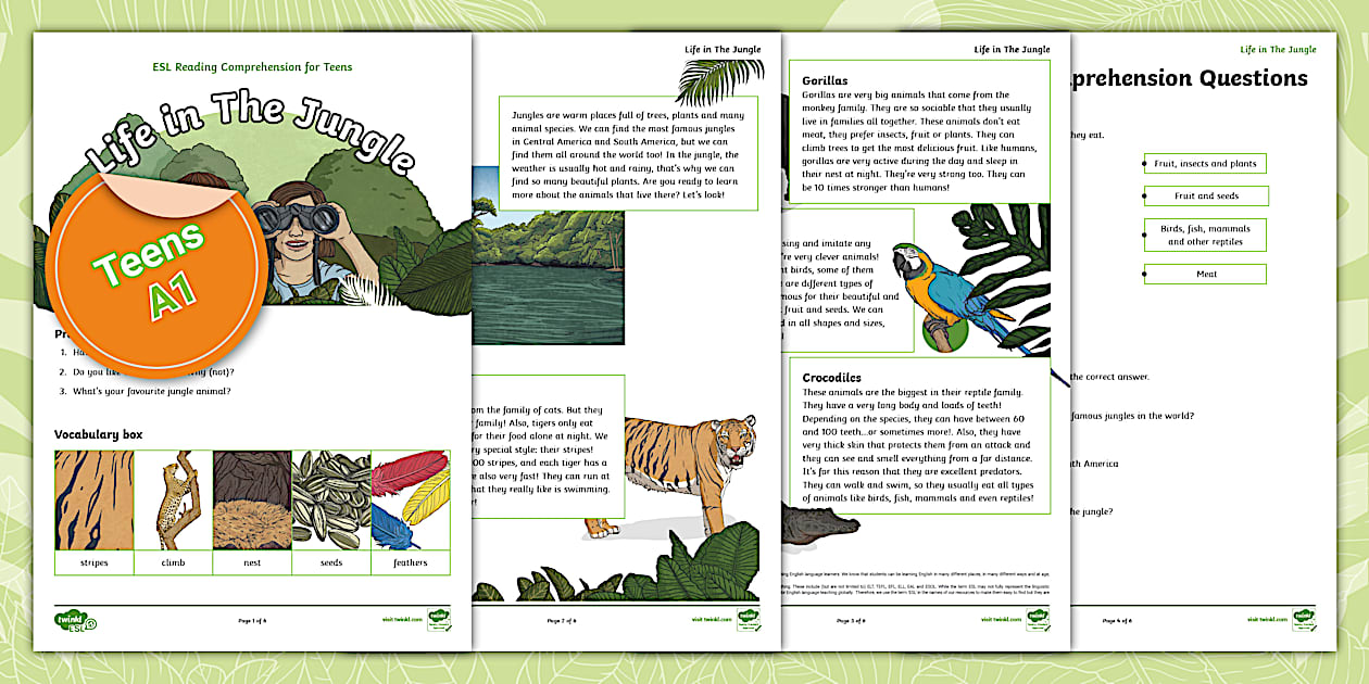 ESL Reading Comprehension: Life in The Jungle (teacher made)