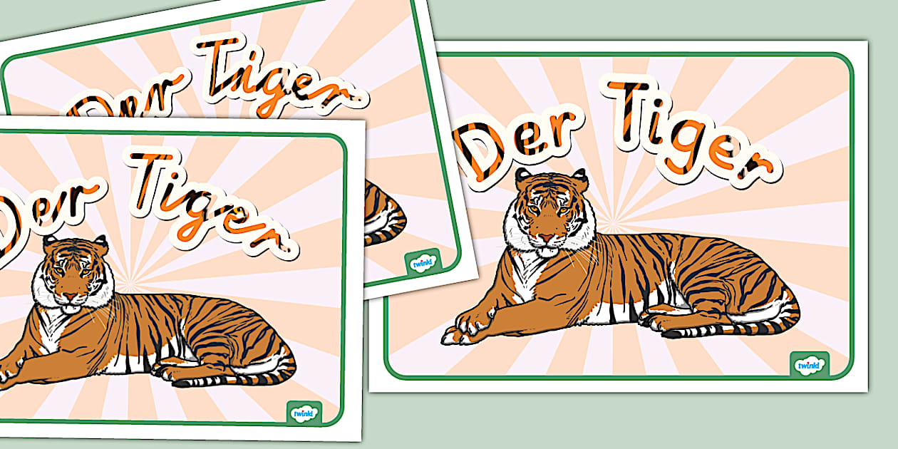 Tiger - Poster (Teacher-Made) - Twinkl