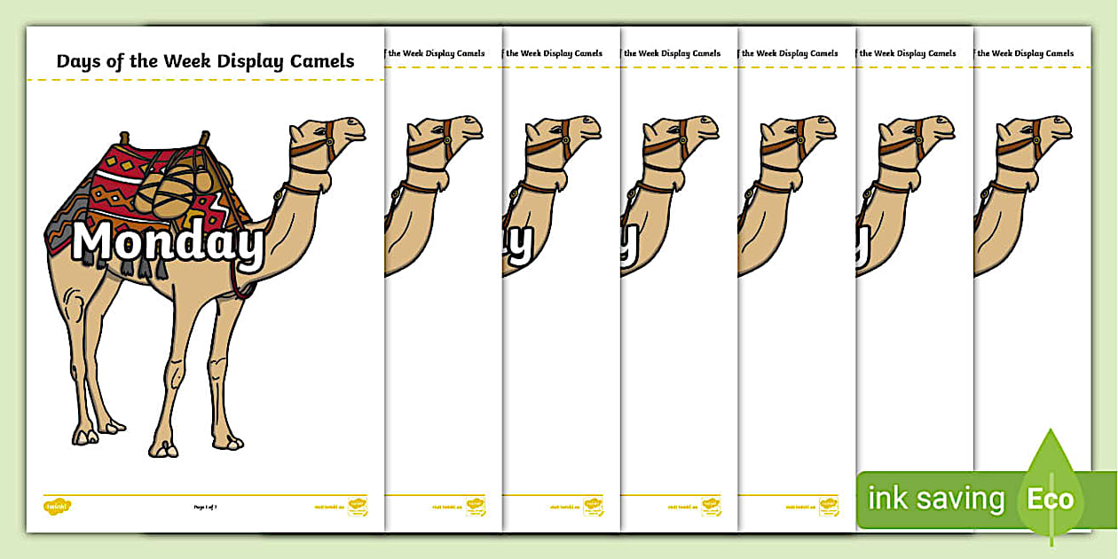 UAE Camels Days of the Week Display (teacher made) - Twinkl