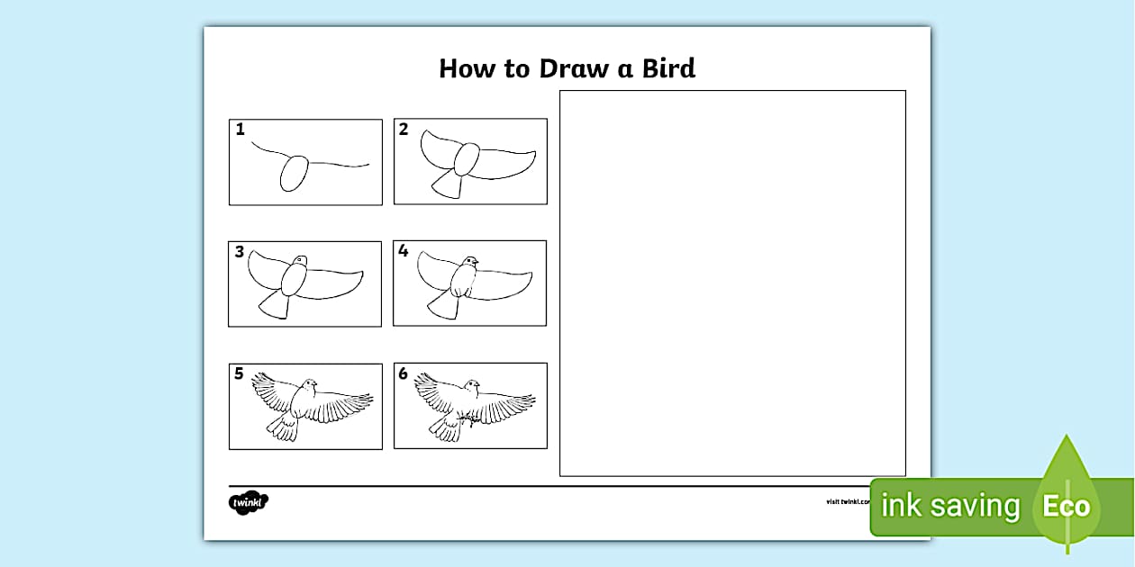 How to Draw a Bird Activity - (teacher made) - Twinkl