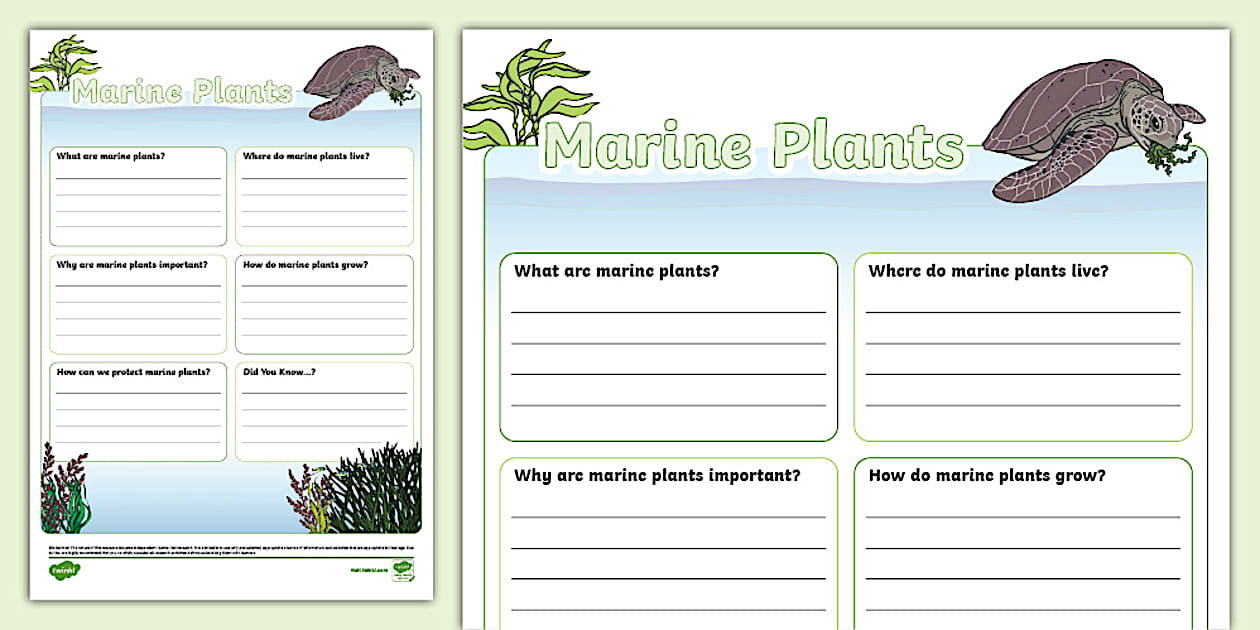 * NEW * Marine Plants Fact File Template, English, Science