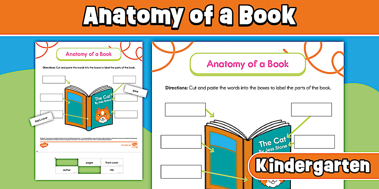 Kindergarten Anatomy of a Book Cut and Paste Activity