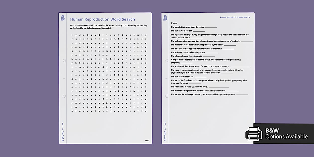 KS3 Reproduction: Human Reproduction Word Search - Twinkl