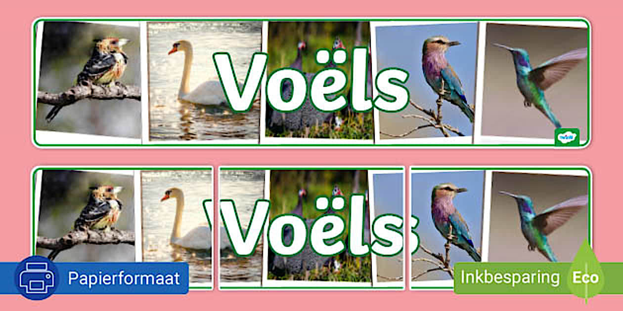 Voëls Vertoonbanier (Lehrer gemacht) - Twinkl