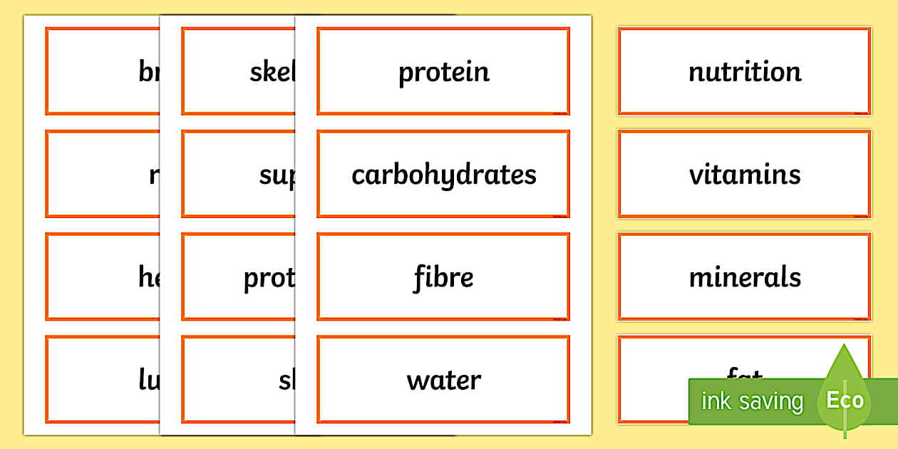 Year 3 Animals Including Humans Scientific Vocabulary cards