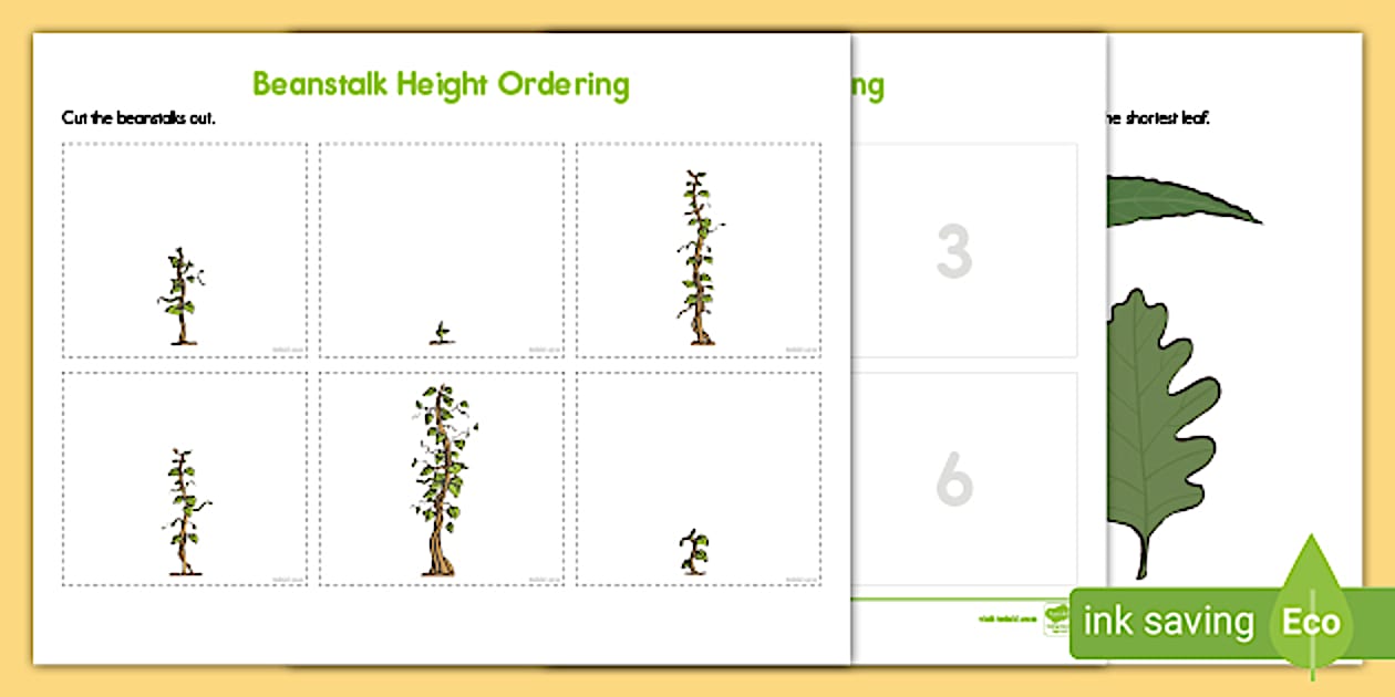 Beanstalk Height Ordering Activity Worksheet (Teacher-Made)