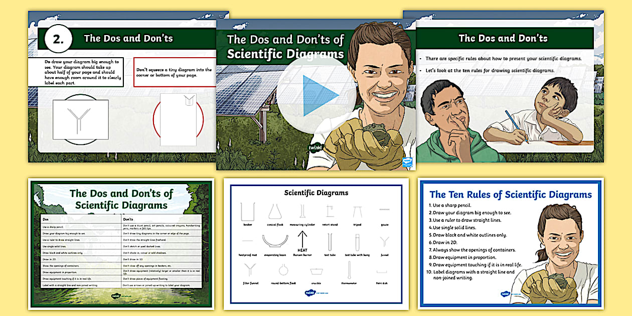Scientific Diagrams Lesson Pack | Science Drawings - Twinkl