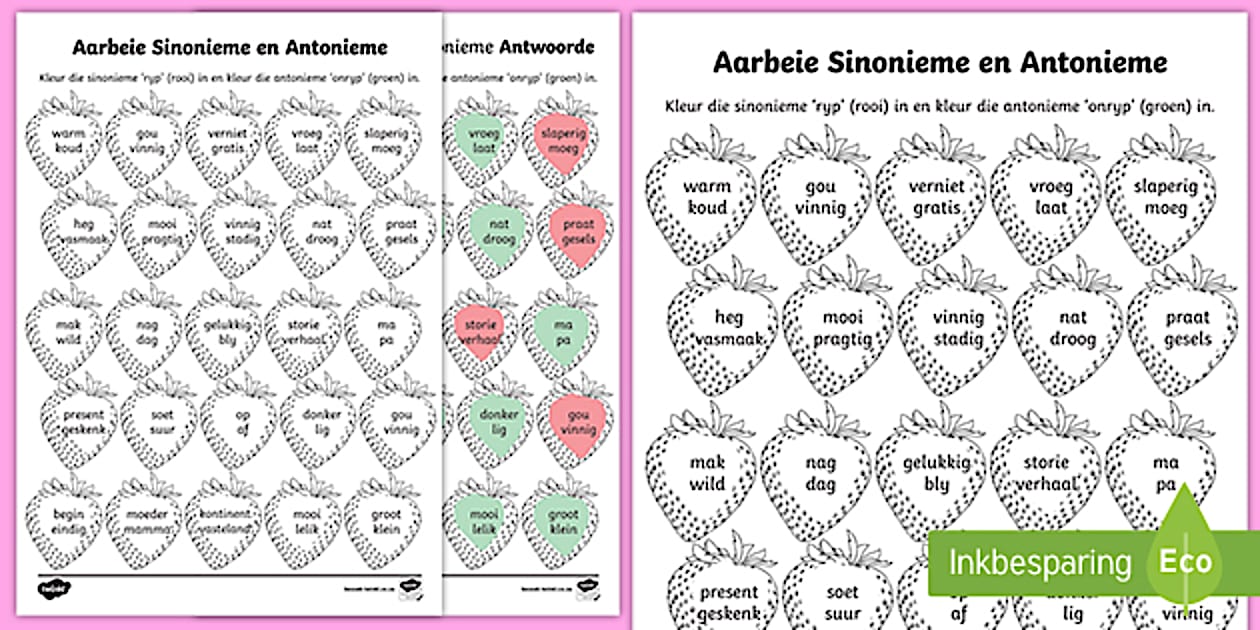 Sinonieme en Antonieme Aktiwiteit (teacher made) - Twinkl