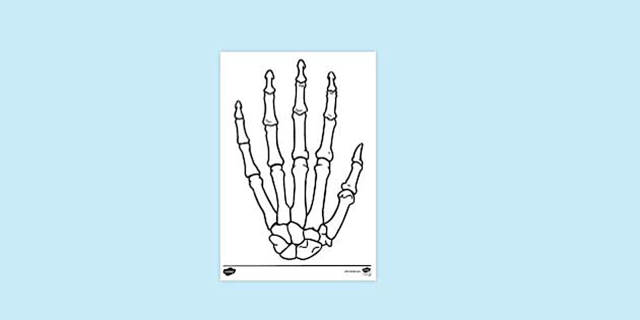 Skeleton Hand Colouring Page | Colouring Sheets | Twinkl