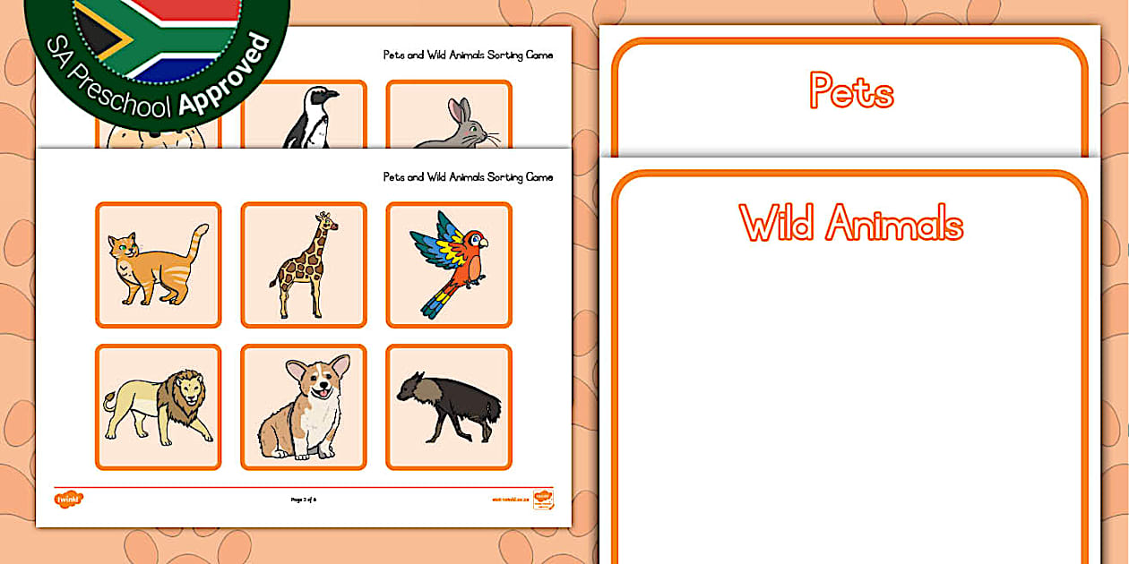 Pets and Wild Animals Sorting Game (teacher made) - Twinkl